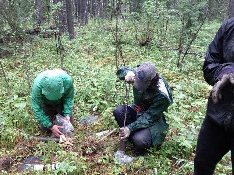 Research – Cahill Lab